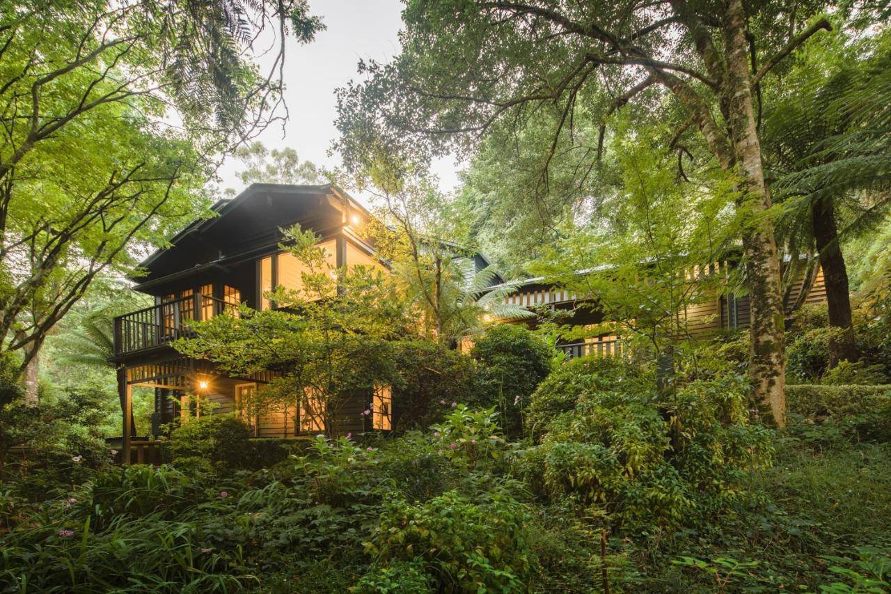 Top 6 Treehouse Accommodations in Victoria , Australia for 2023